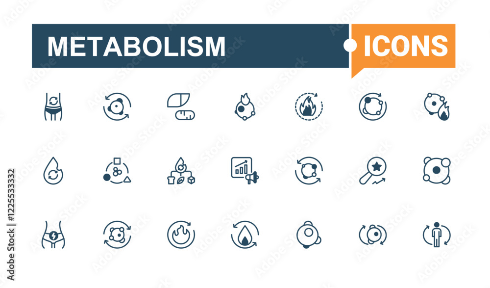 Metabolism icons set in linear style. Contains such icons as diet ...
