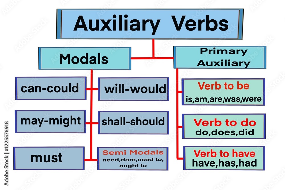 Hand drawn picture of Auxiliary Verbs diagram. Illustration for education. Concept English ...