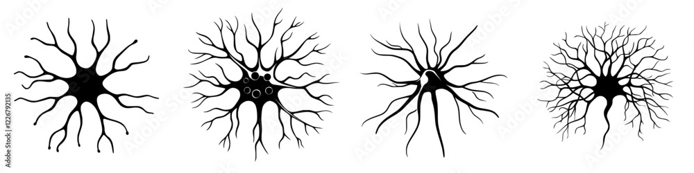 Study of neuron structures illustrating different types and shapes in a ...