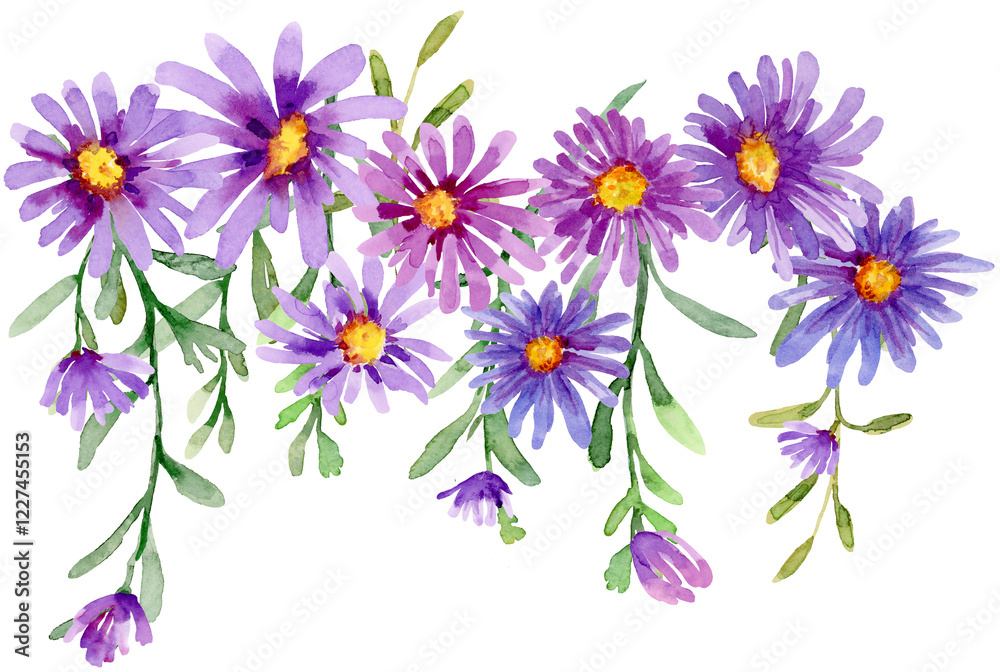 Purple daisy flower border frame watercolor floral illustration hand ...