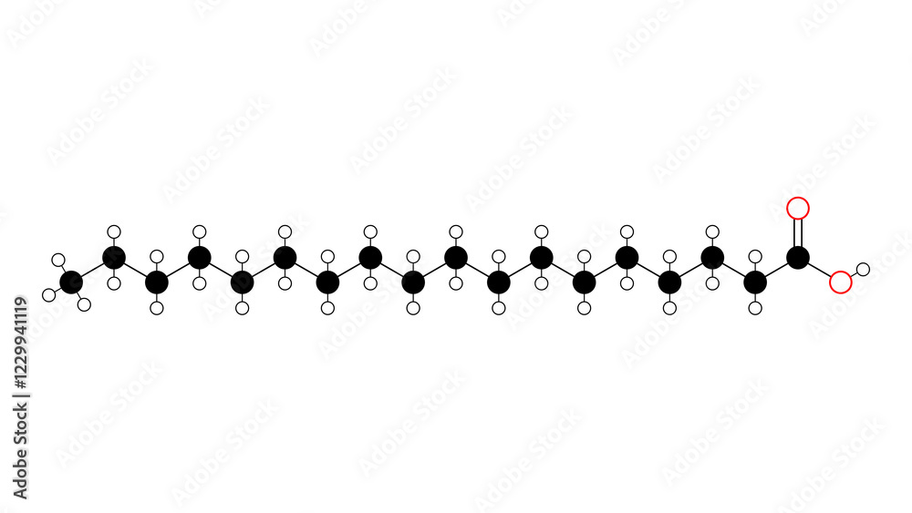 stearic acid molecule, structural chemical formula, ball-and-stick ...