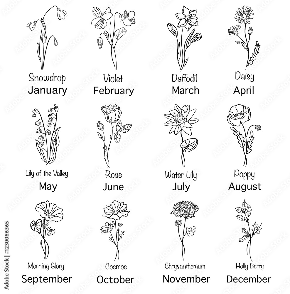 Birth Month Flower Chart Line Art with Month and Flower Names Stock ...