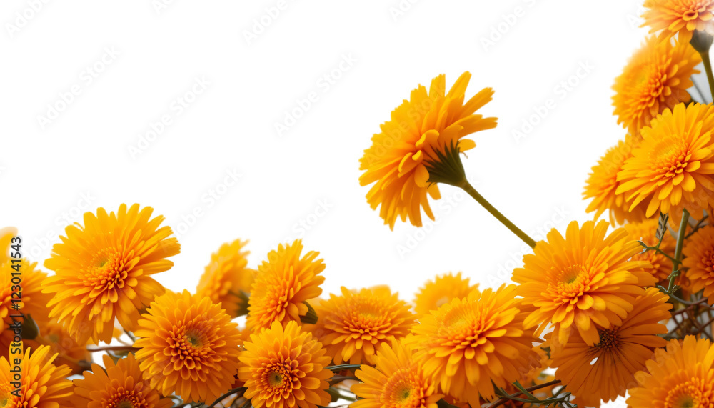 Yellow Flower Garland PNG: Isolated, Perfect for Basant Panchami ...