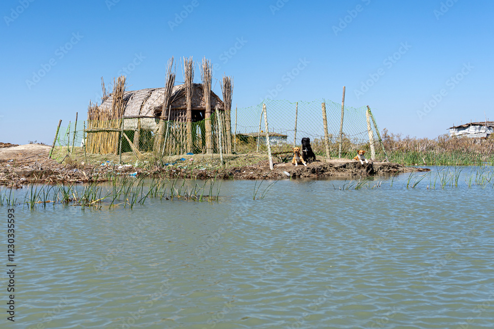 Reed house of Marsh Arabs, Mesopotamian Marshes, Ahwar of southern Iraq ...