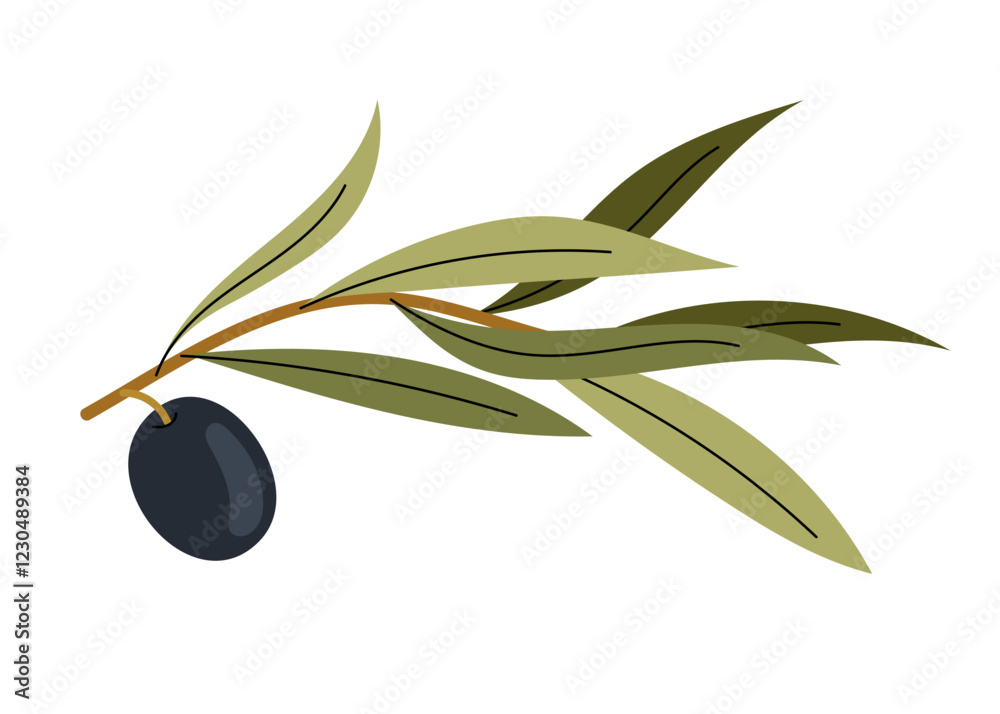 Simple and elegant olive branch drawing, isolated on white background ...