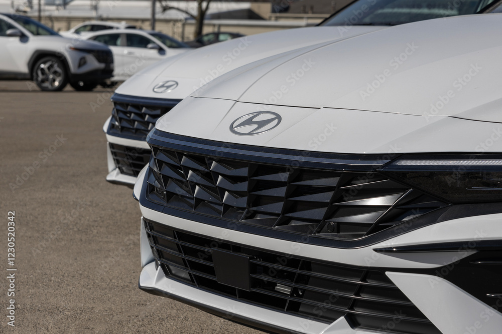 Hyundai Elantra Compact Car display at a dealership. Hyundai offers the ...