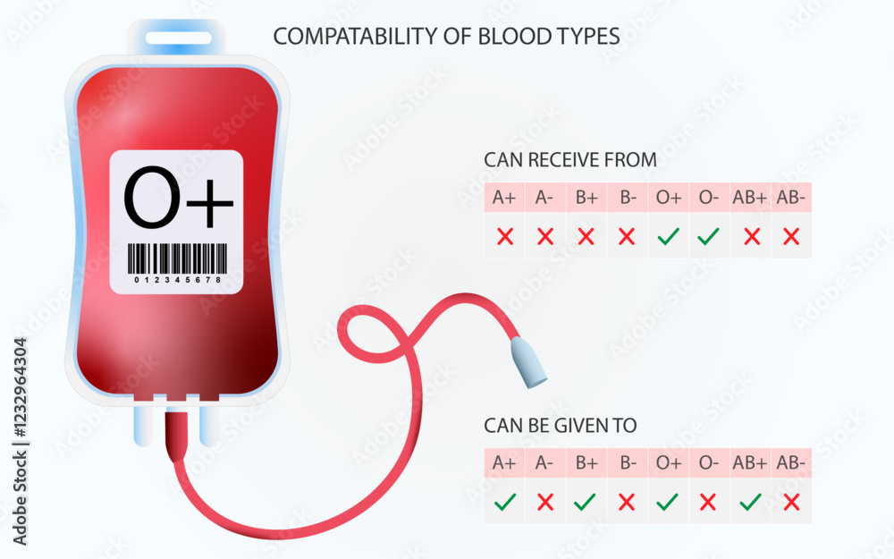 O+ blood types compatibility chart template, B positive blood group ...