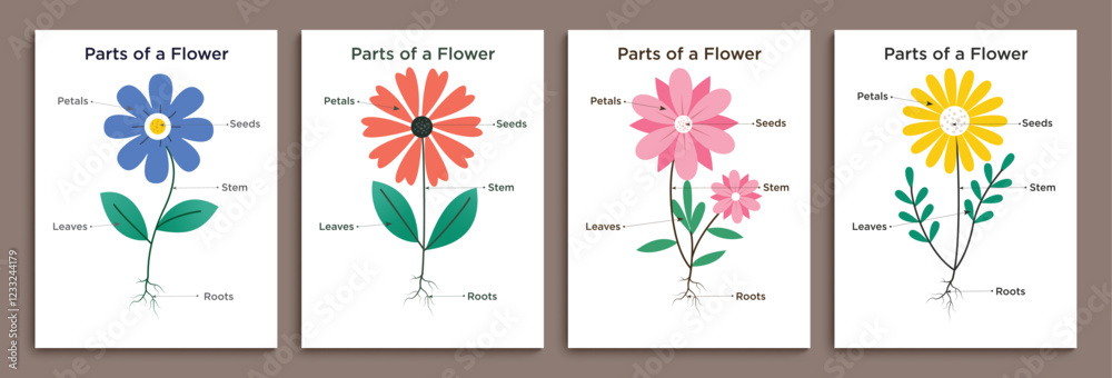 Flowers parts diagram clipart poster set. Flower anatomy clip art with ...
