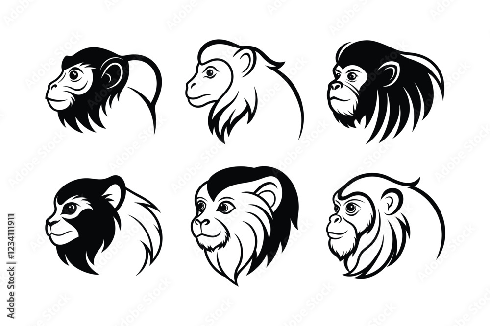 Emperor Tamarin (Saguinus imperator) animal design, labeled line art ...