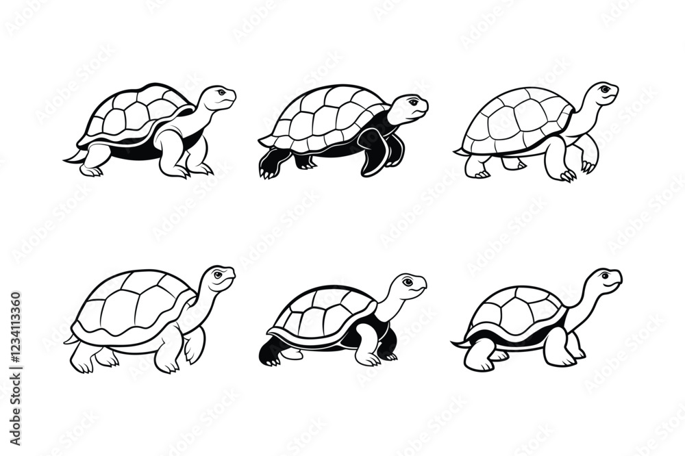Galápagos Tortoise (Chelonoidis nigra) animal design, labeled line art ...