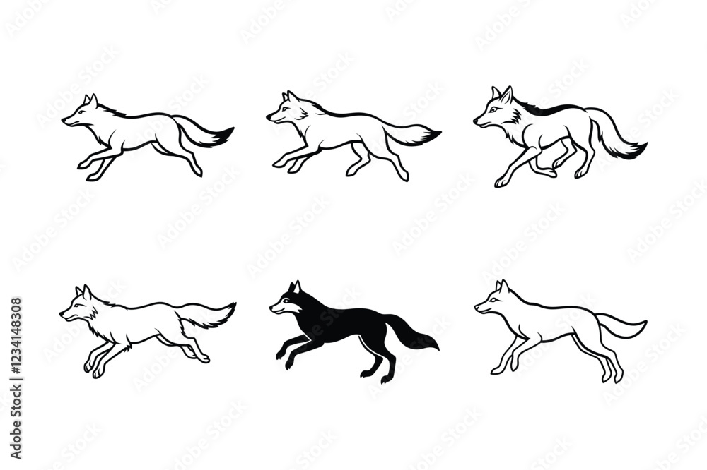 Gray Wolf (Canis lupus) animal design, labeled line art vector art ...