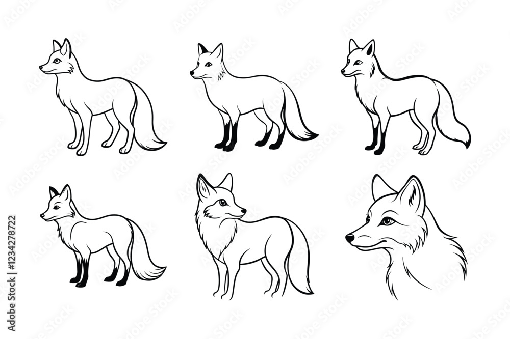 Red Fox (Vulpes vulpes) animal design, labeled line art vector art ...
