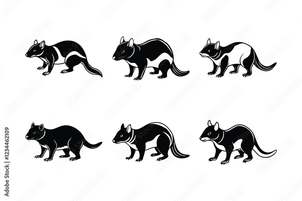 Tasmanian Devil (Sarcophilus harrisii) animal design, labeled line art ...