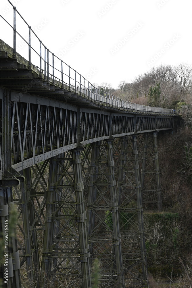 a view of the Meldon viaduct. a truss bridge that carried the Dartmoor ...