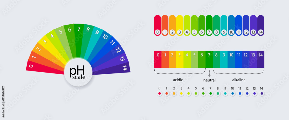 pH scale chart for acid and alkaline solutions. Acid-base balance infographic. Vector Stock ...