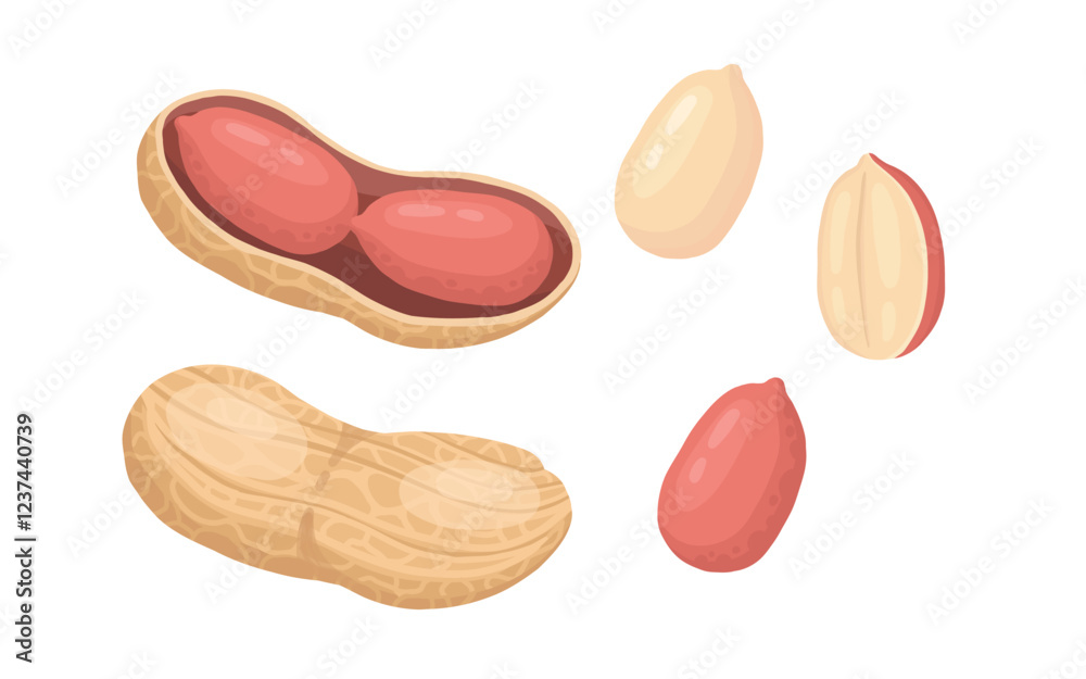 Cartoon peanuts. Delicious tasty peanuts snack, raw peanut in shell ...