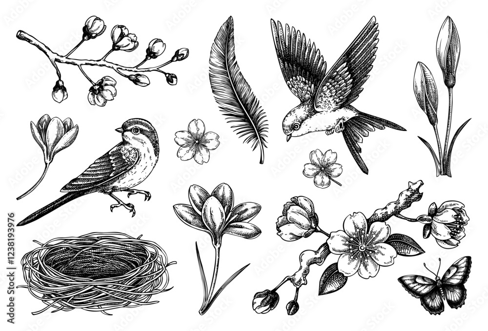 Hand-drawn spring sketches. Flying birds, sakura flowers, birdhouse ...