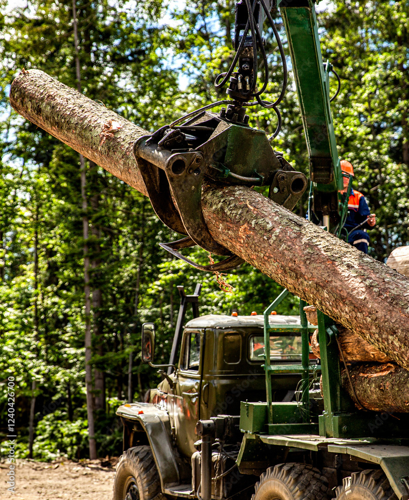 Log loader or forestry machine loads a log truck. Loading logs with a ...