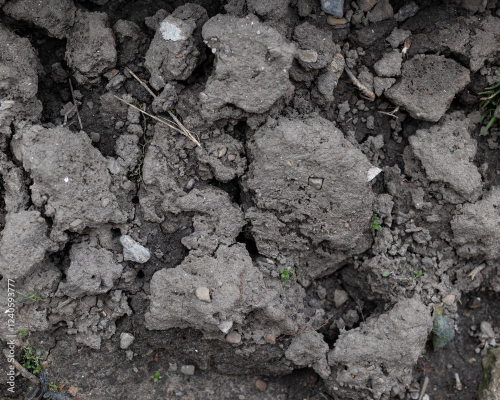 Soil background, clay texture. Rural industry Spring field. Close-up ...
