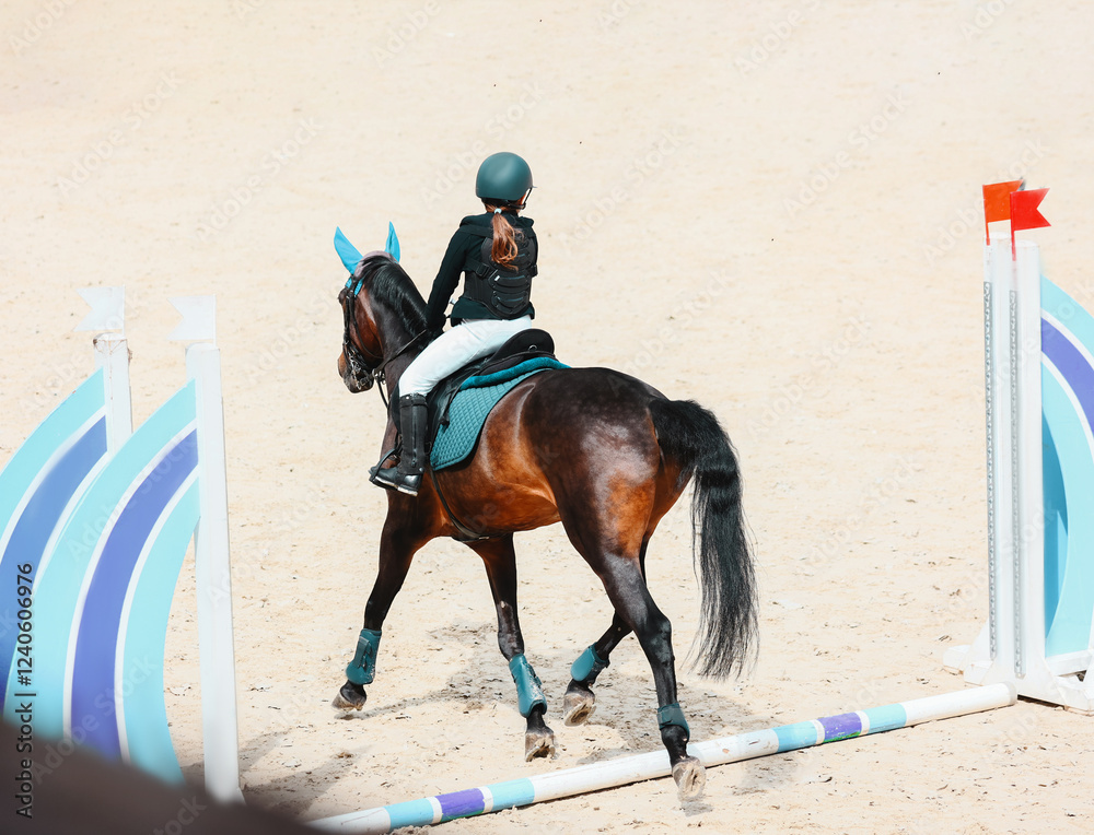 Equestrian sports. Workout. View from above. Show jumping competitions ...