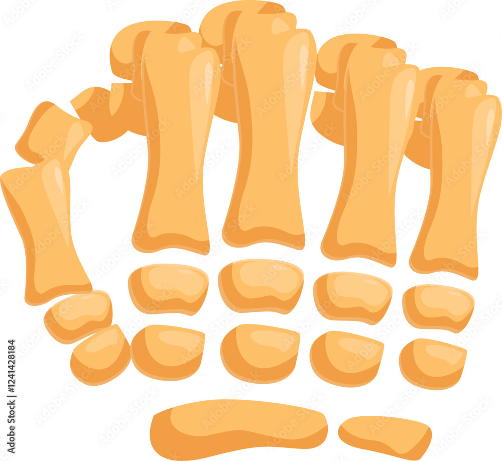 Foot bones anatomy showing metatarsals, tarsals, and phalanges forming ...