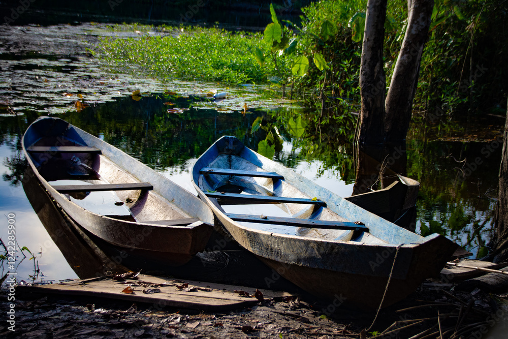 Two small wooden canoes resting side by side on the edge of a river ...