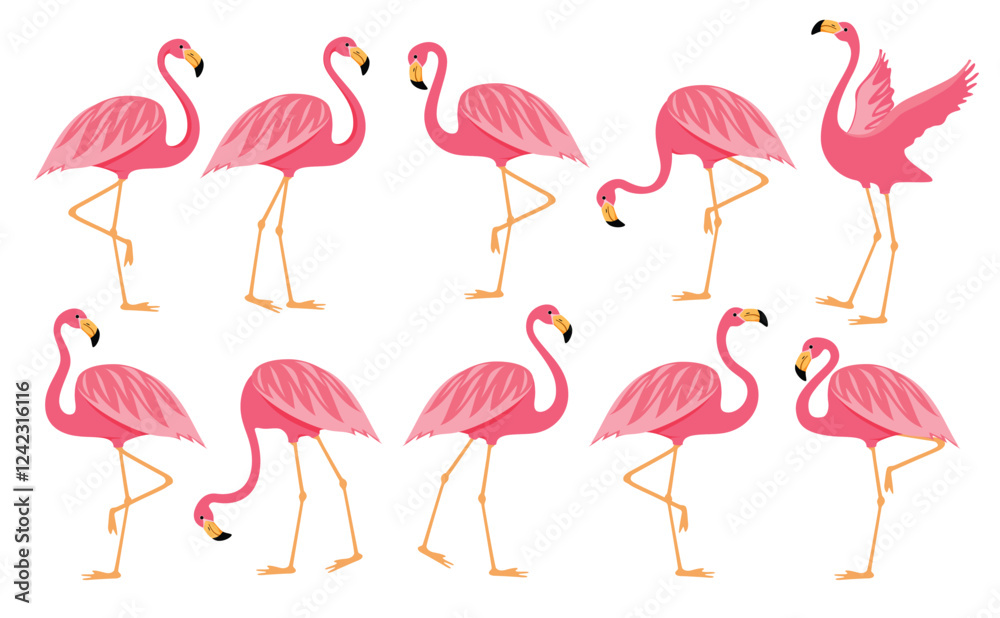 Flamingo pink drawing clipart set. Summer bird flamingo clip art ...
