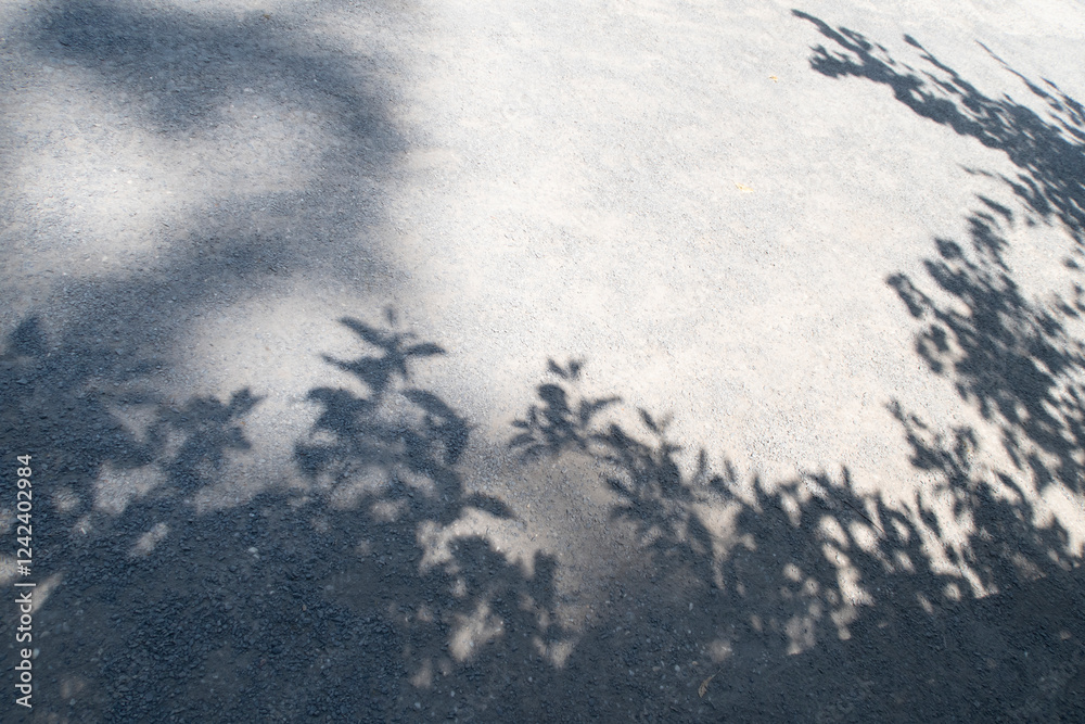 Tree leaves shadow on the ground background Stock Photo | Adobe Stock