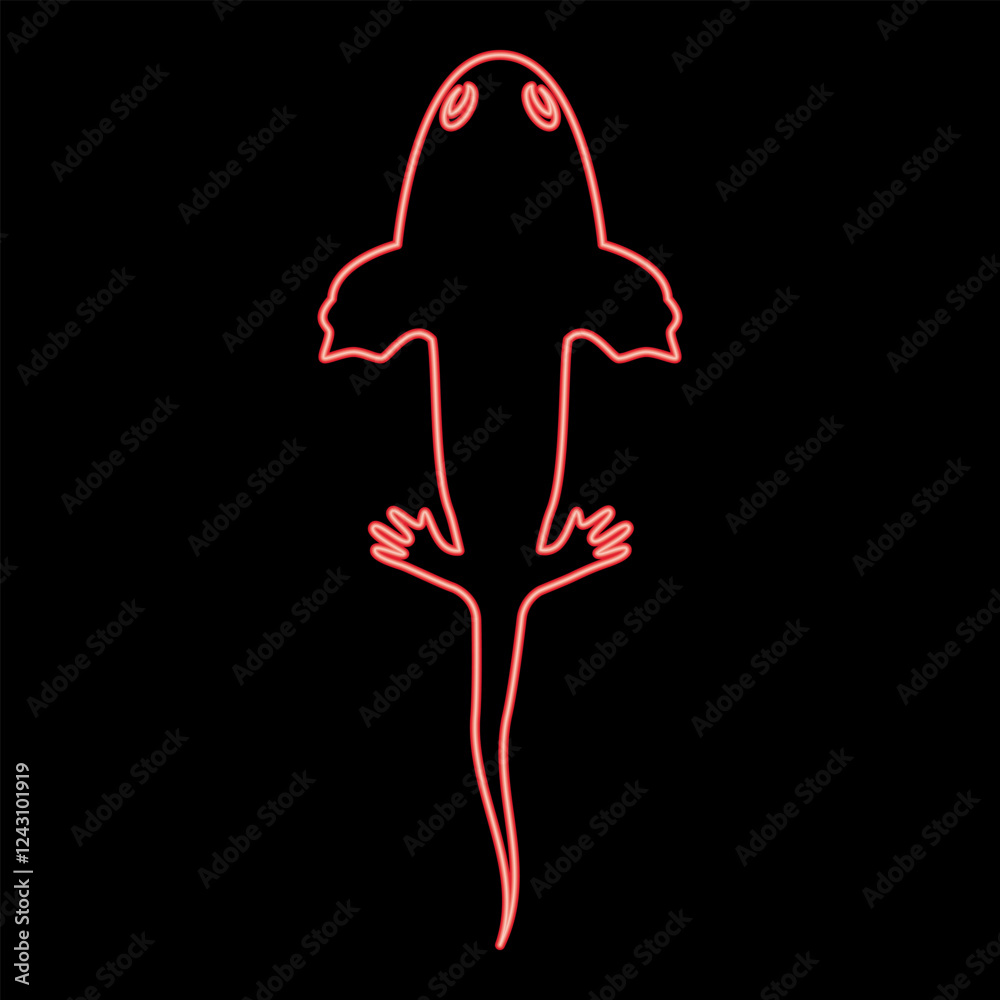Neon axolotl ambystoma mexicanum overhead view red color vector ...