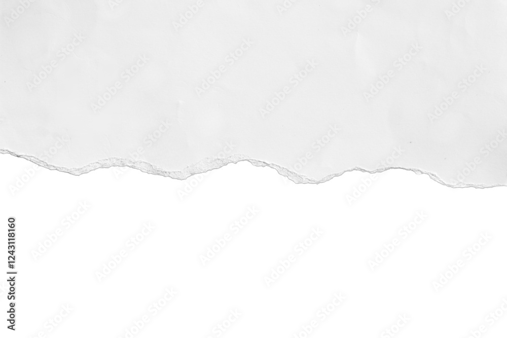 Realistic torn paper edge. Ripped white paper mockup isolated on ...