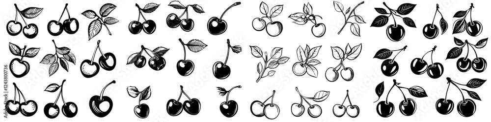 Collection of hand-drawn cherry illustrations showcasing various cherry ...