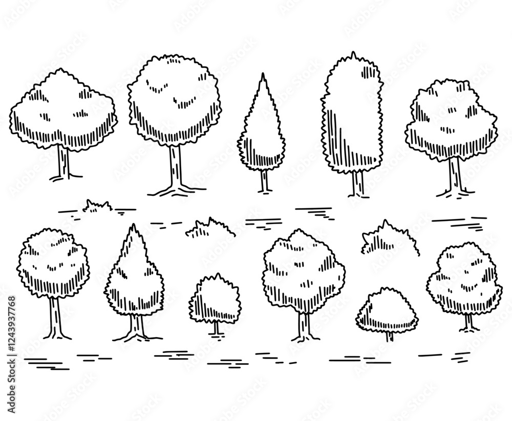 Tree drawing set. Doodle contour oak. Nature plant with leaf. Line ...