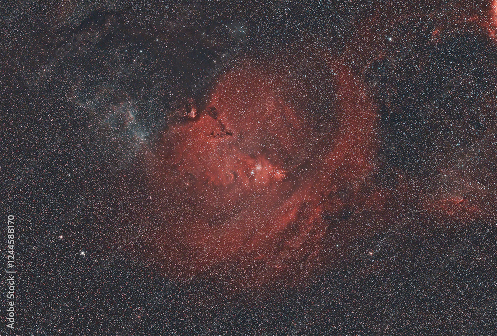 The Cone Nebula, and the Christmas Tree Cluster (NGC 2264) an emission ...