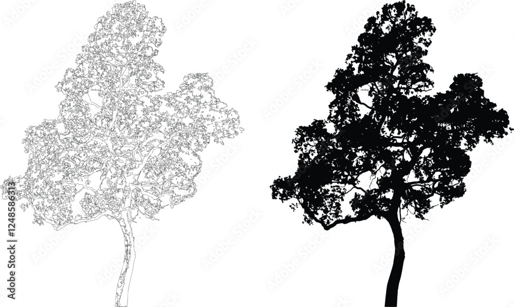 Vector de Stock Minimal style cad tree line drawing, Side view, set of graphics trees elements ...