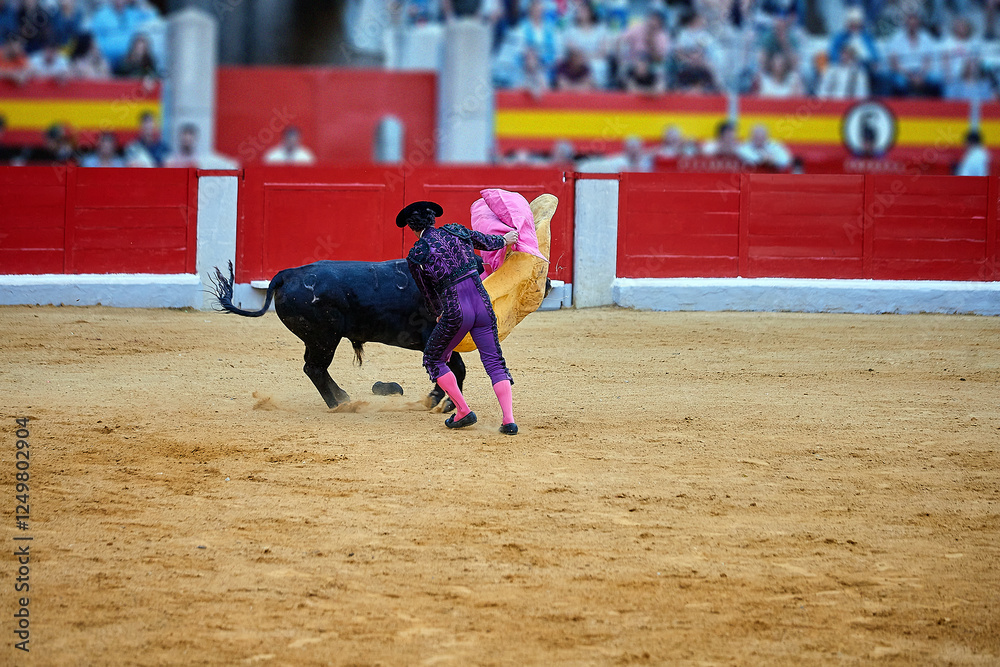Bullfighter in a traditional traje de luces with a black montera hat ...