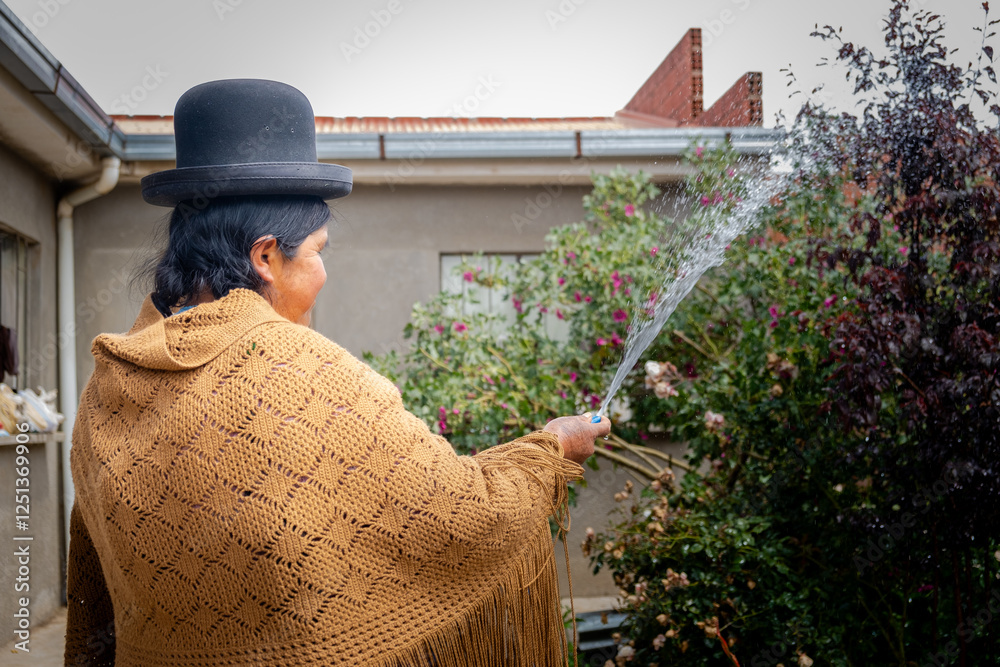 adult woman of aymara culture watering her plants with a hose in the ...