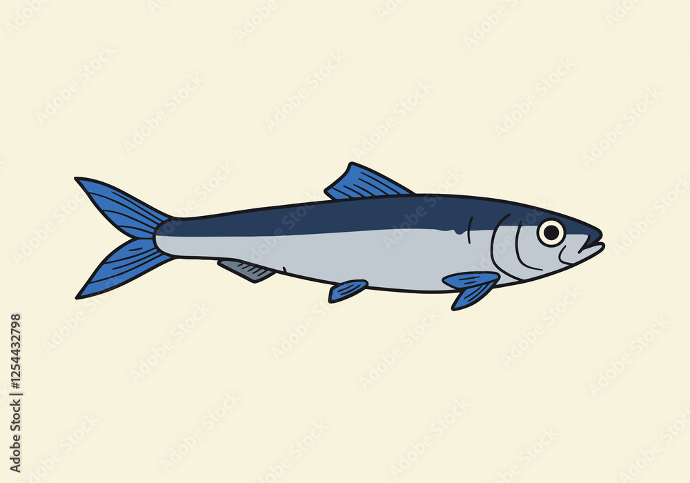 Anchovy fish illustration. A simple and colorful drawing of an anchovy ...