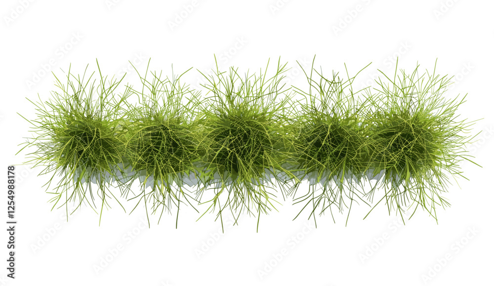 Long grass row perspective top view vector illustration, clipart on ...