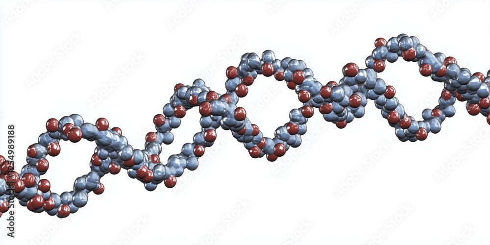 DNA double helix structure with atoms represented in 3D model, showcasing molecular biology ...