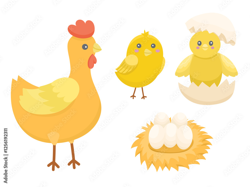 Educational set of vector illustrations, birth of cute chickens step by ...