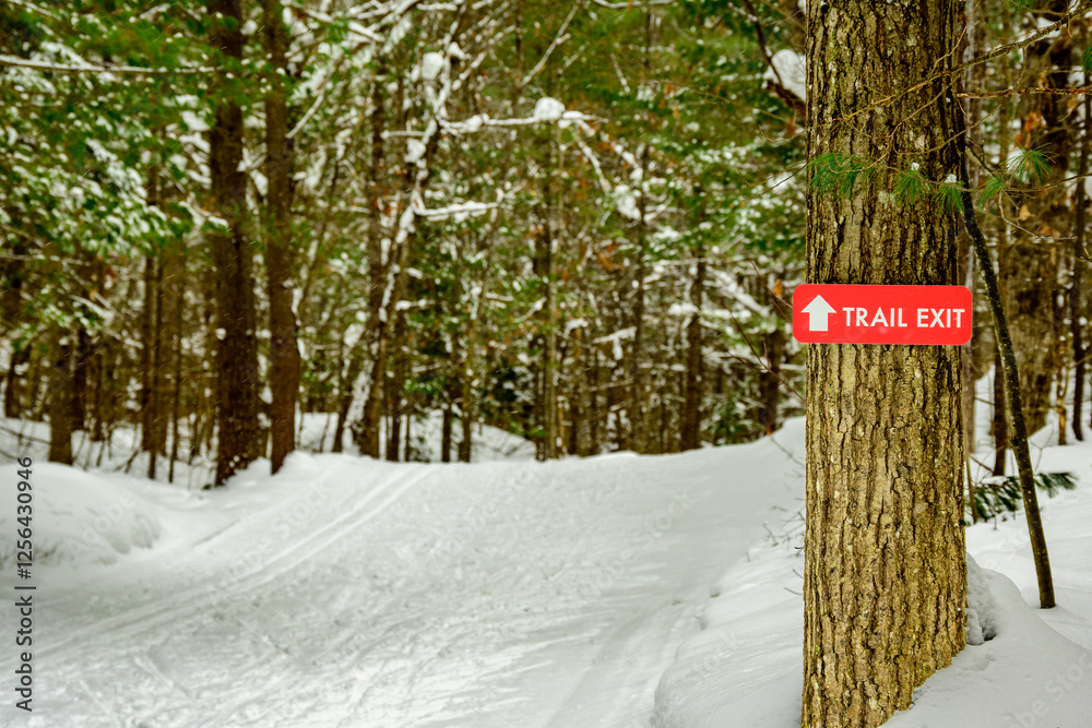 Trail Exit with directional arrow signage: wayfinding signage on nordic ...