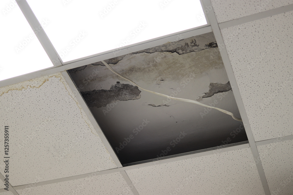 Photography of a ceiling tile damage by water.mildew.brown stain ...