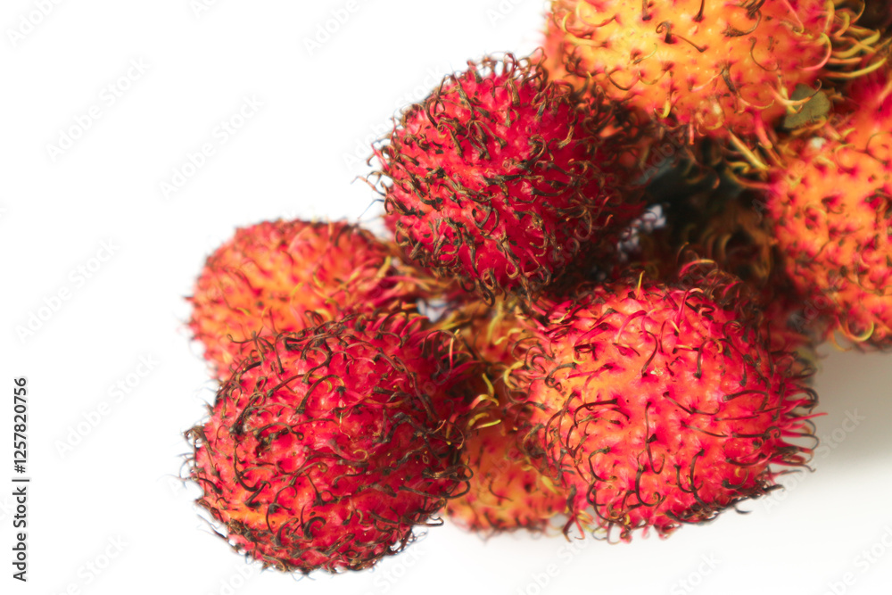 Rambutan taxonomic name: Nephelium lappaceum is a medium-sized tropical ...