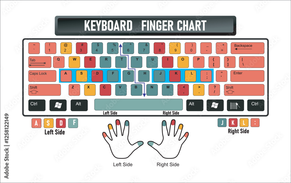 Vector de Stock Top keyboard finger chart (left and right finger ...