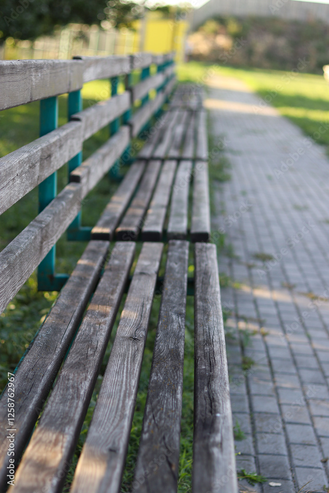 wood, wooden, nature, path, fence, green, grass, walkway, park, bridge ...