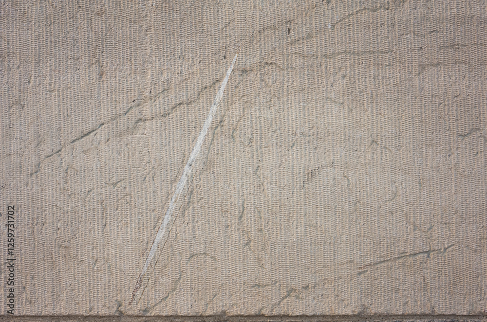 Fossil on limestone wall surface, Extinct genus of large, straight ...