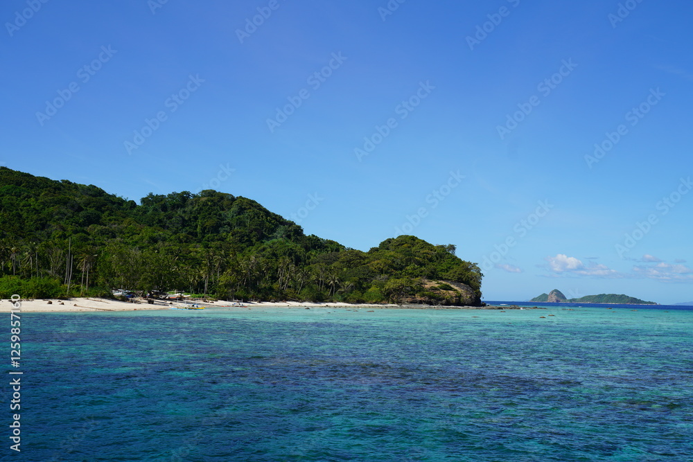 Tropical beach with coconut palm trees and sea on the island Palawan at ...