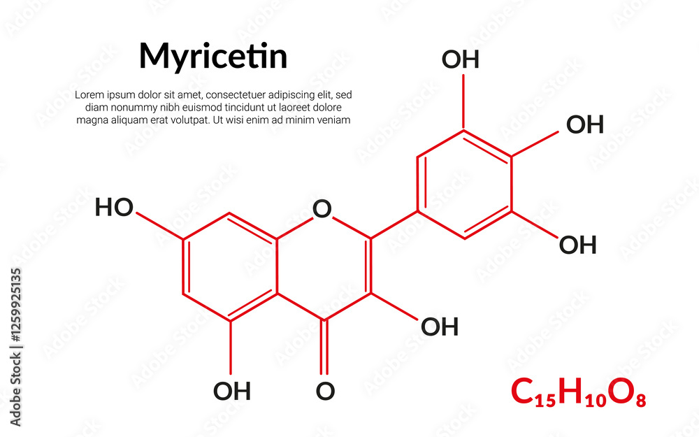 Myricetin plant flavonol, molecular structure formula, suitable for ...