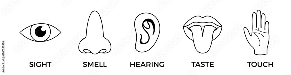 5 human senses icons. Vector illustration, simple flat design for ...