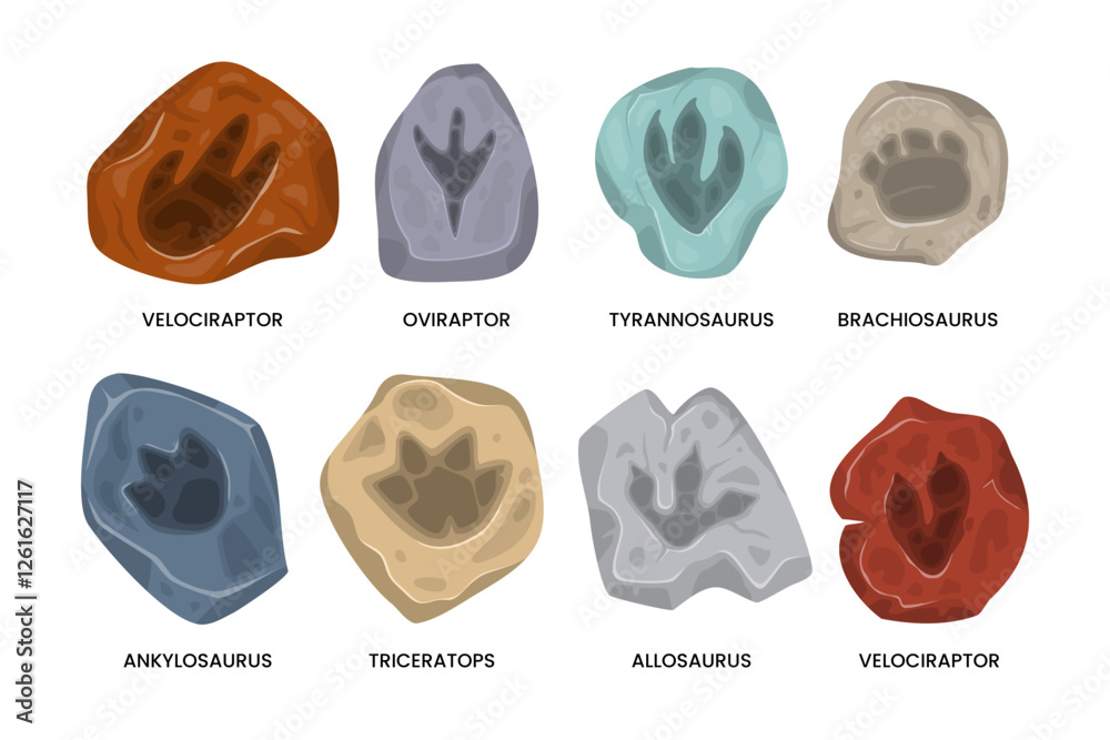 Set of Dinosaur footprint fossil collection, contain velociraptor ...